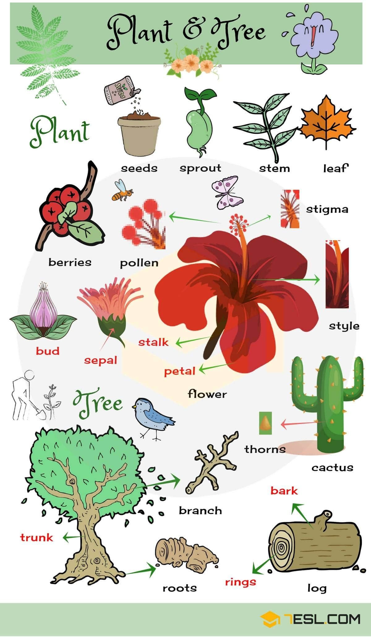 5 Land And Water Animals Worksheets AMP 5 Land And Water Animals Worksheets AMP